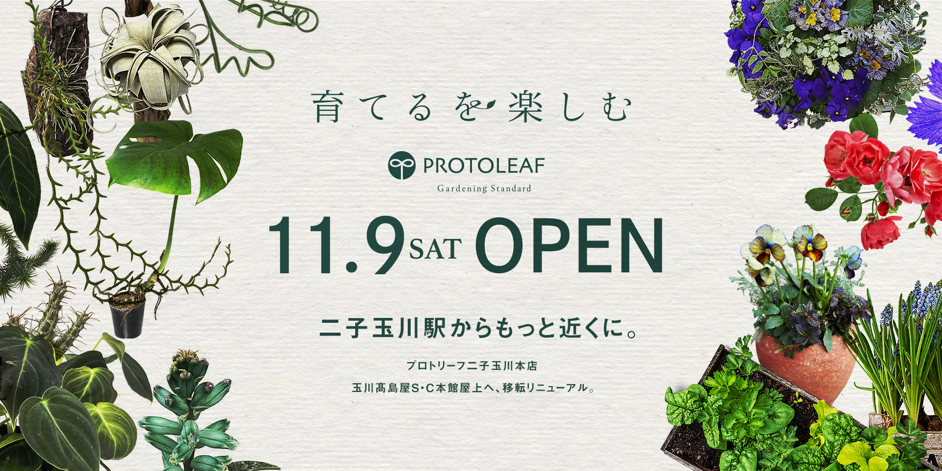 12L Mサイズ プロトリーフ 【市場】PROTOLEAF 園芸用土